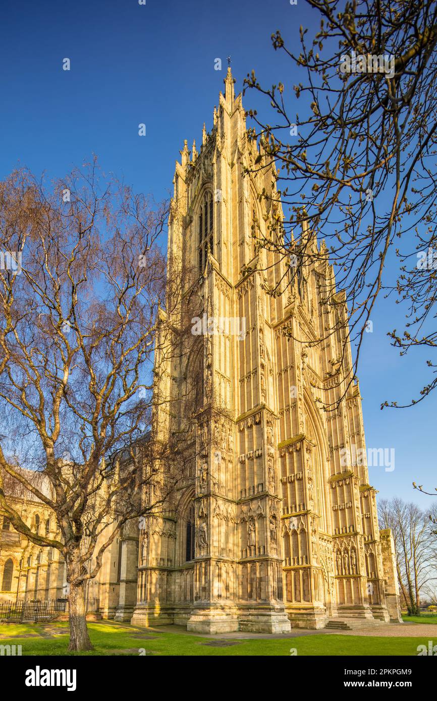 Beverley Minster. East Yorkshire. Fine Gothic Church. Built with ...