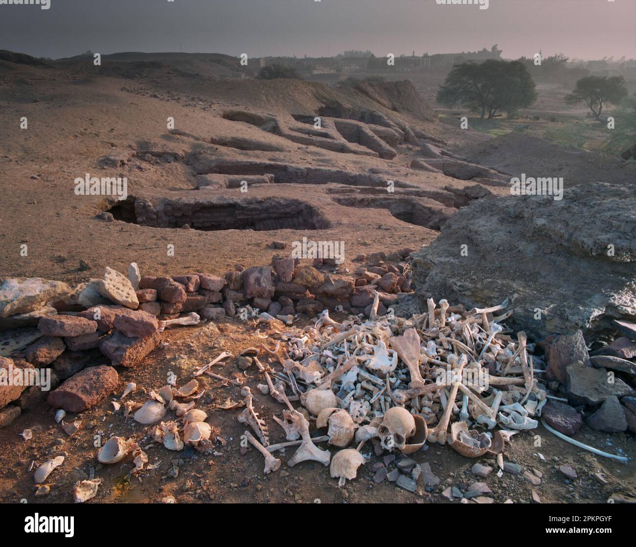 Asyut nile hi-res stock photography and images - Alamy