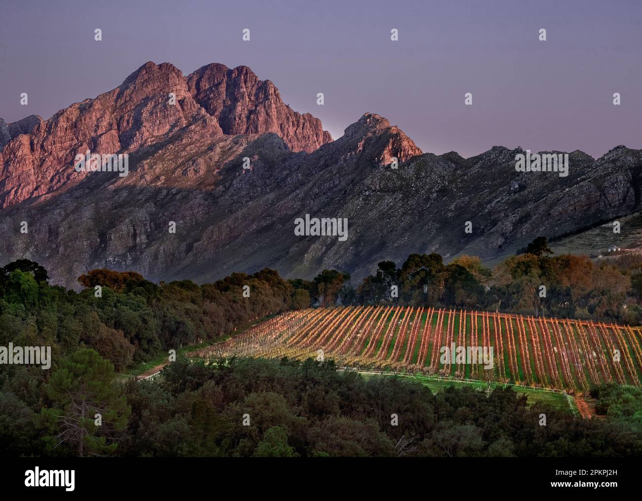 The last light of the sun catches the vineyards of Tokara and the peaks ...
