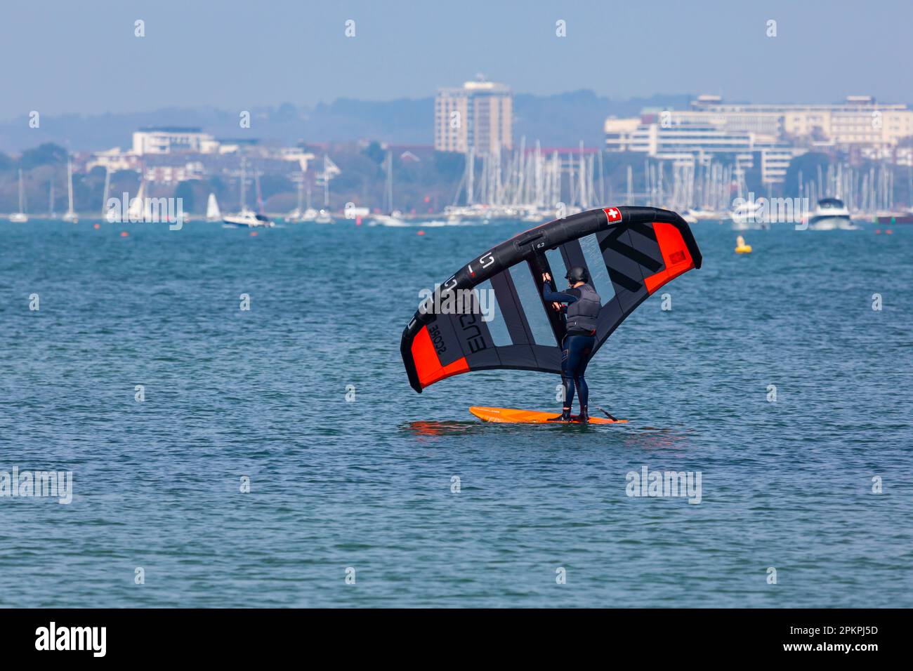 Ensis score wing hi-res stock photography and images - Alamy