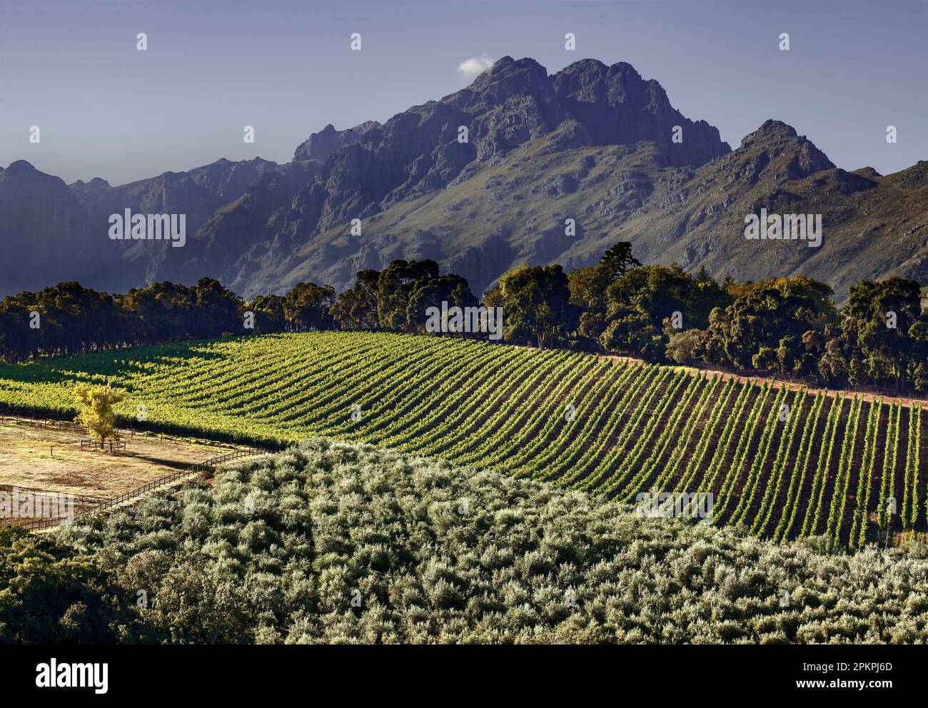 Drakenstein mountains hi-res stock photography and images - Alamy