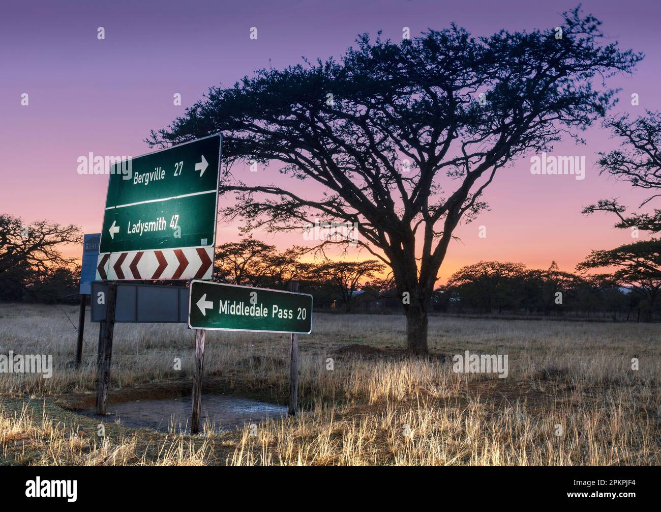 Sunrise with Acacia Tortilis (Umbrella Thorn) and road signs at the ...