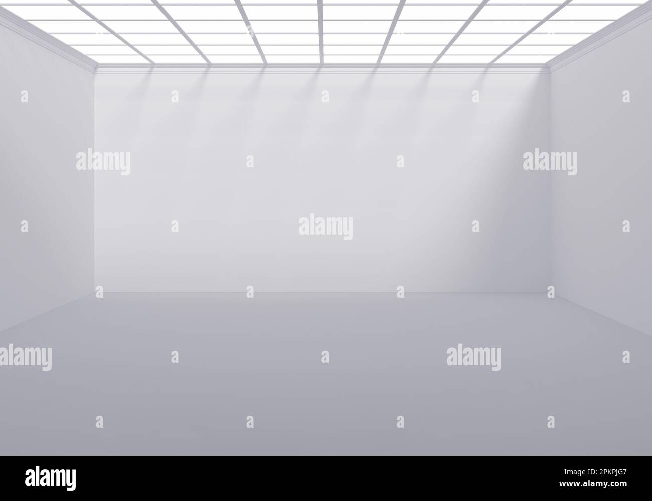 Roof with lights on Futuristic empty room exhibition in white ...