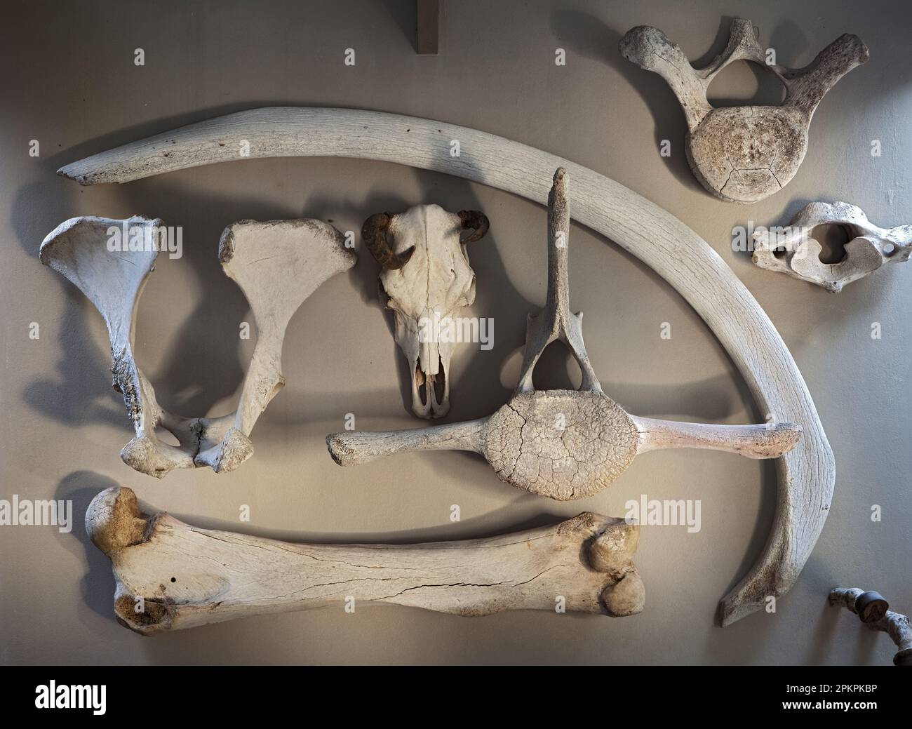 A house wall in Natures Valley, South Africa, is decorated with various ...