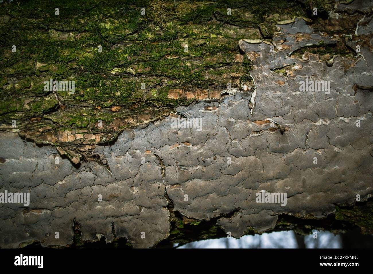 High quality bitumen hi-res stock photography and images - Alamy