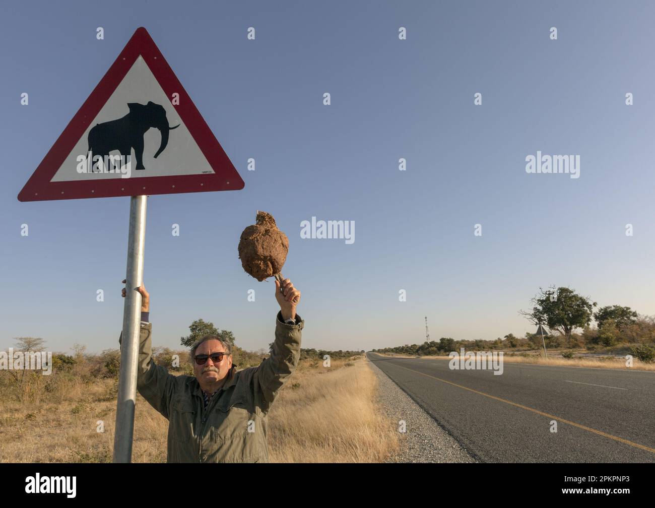Obie Oberholzer holds up a dry Elephant turd next to a warning triangle ...