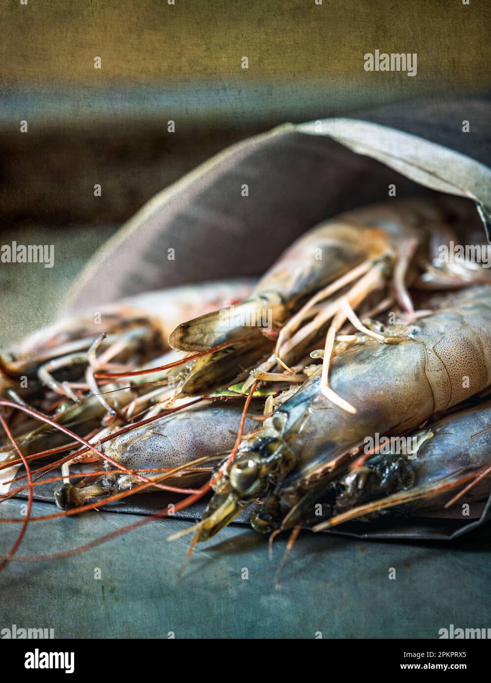 Closeup shot shrimp meal hi-res stock photography and images - Alamy