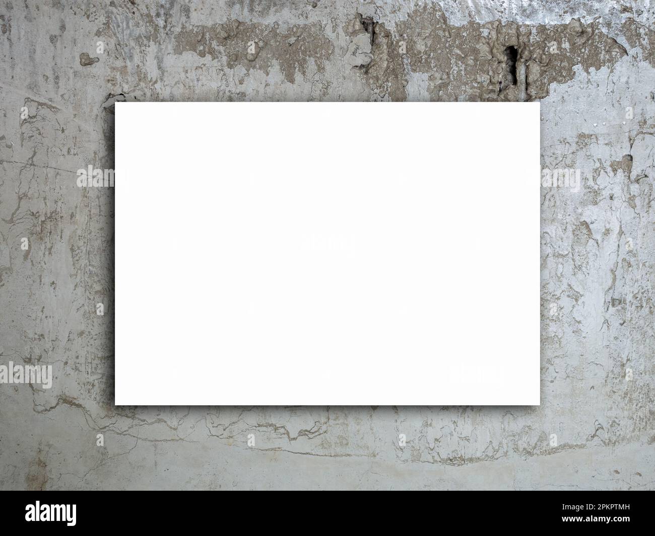 Blank White Rectangle