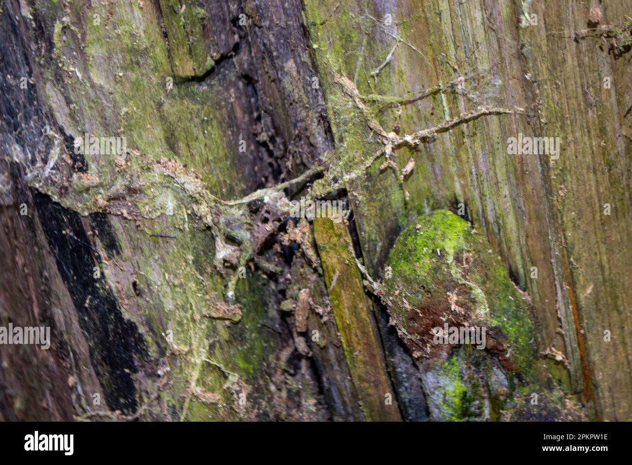 High quality bitumen hi-res stock photography and images - Alamy