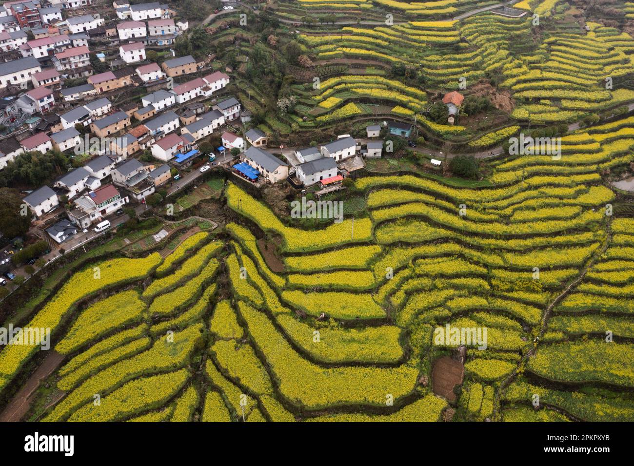 (230409) -- HANGZHOU, April 9, 2023 (Xinhua) -- This aerial photo taken ...
