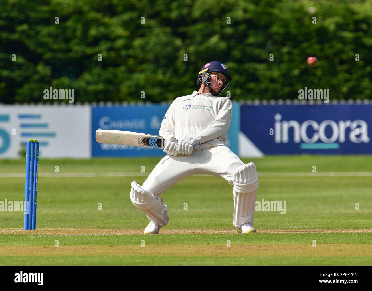 Pictured ben aitchison derbyshire ccc batting hi-res stock photography ...