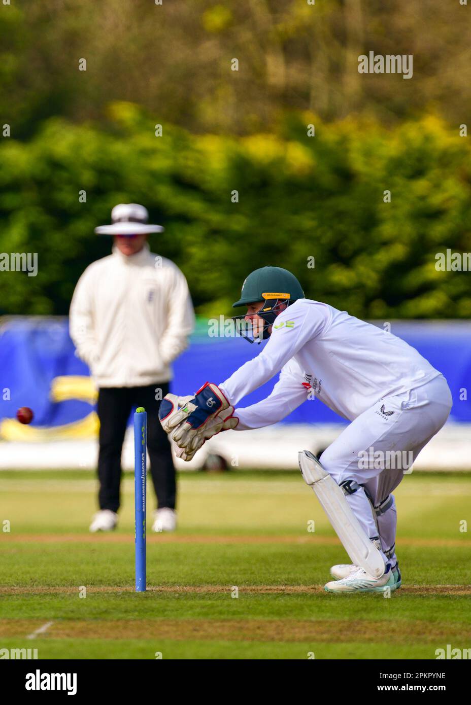 Pictured wicket keeper gareth roderick worcestershire ccc hi-res stock ...