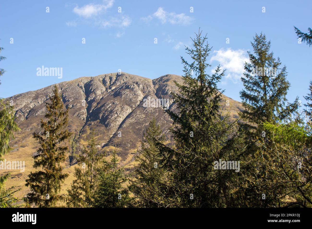 View from Signal Rock in Glen Coe through the treetops of a small ...