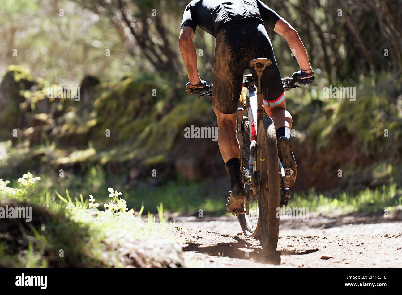 Mountain biking man riding on bike in summer mountains forest landscape ...
