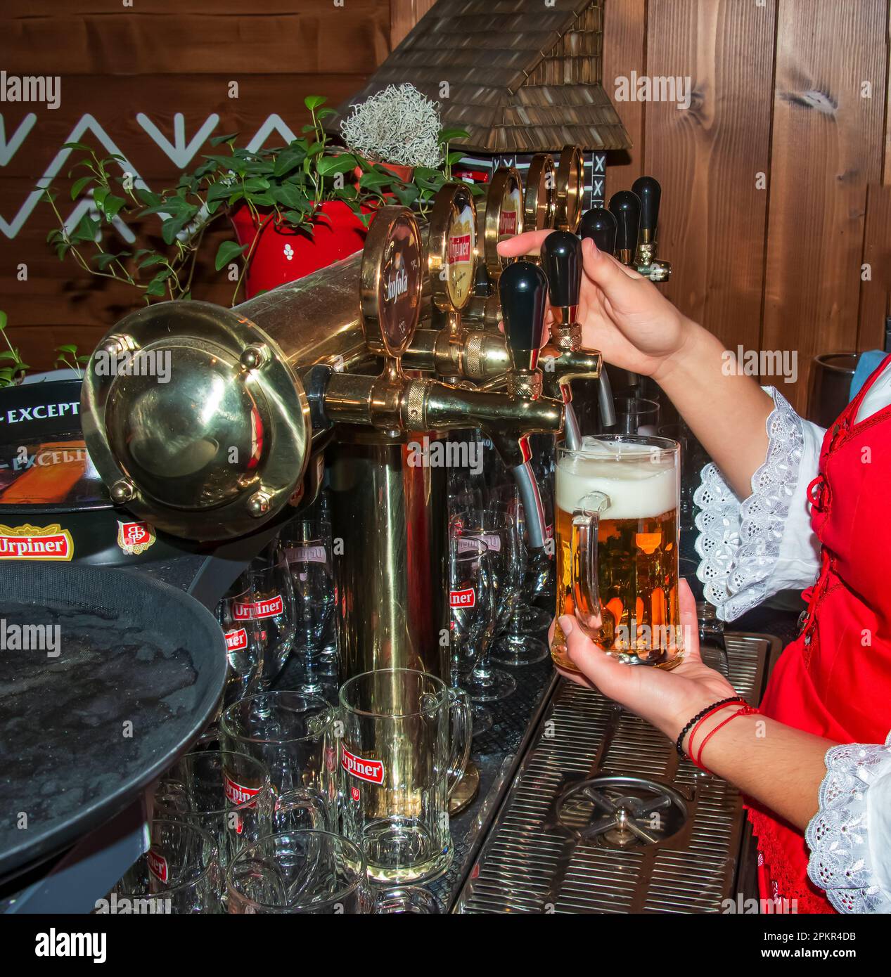 Bratislava nightclub hi-res stock photography and images - Alamy