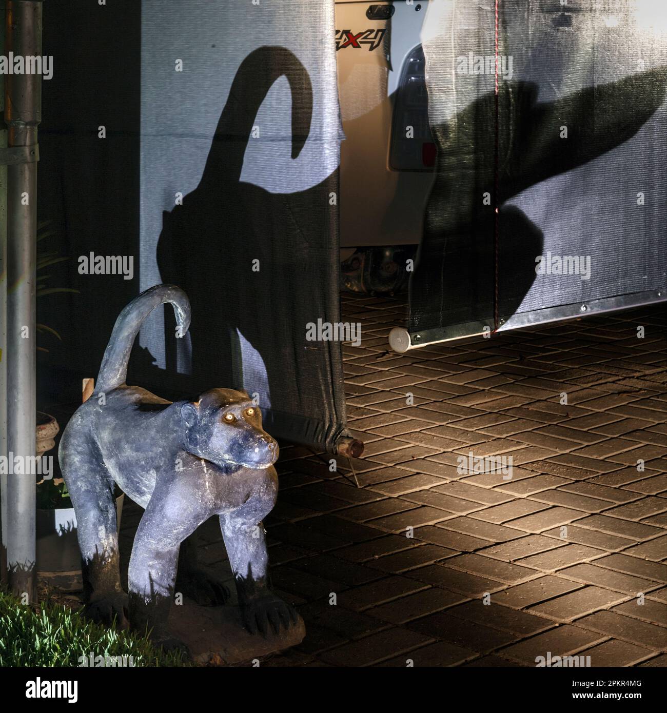 Shadow of baboon statue on the garage netting that covers the owners ...