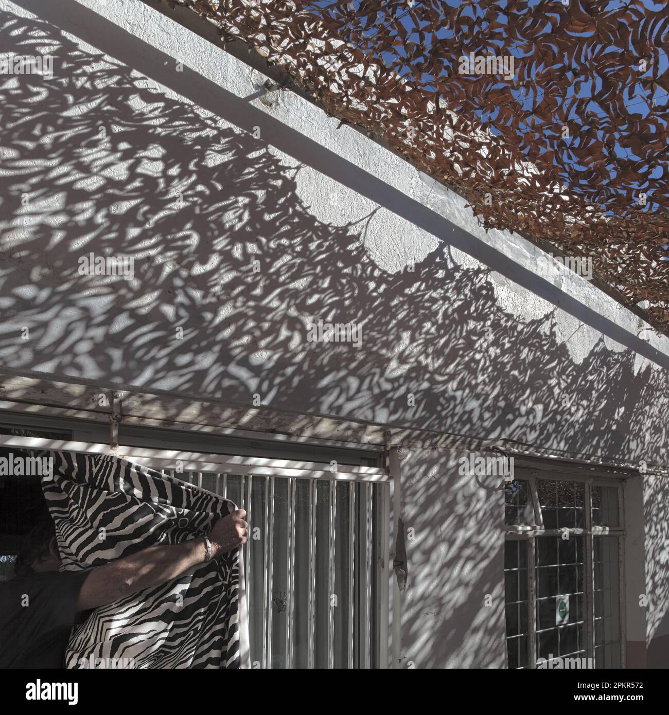 Camouflage netting provides shade for a courtyard in the Springbok ...