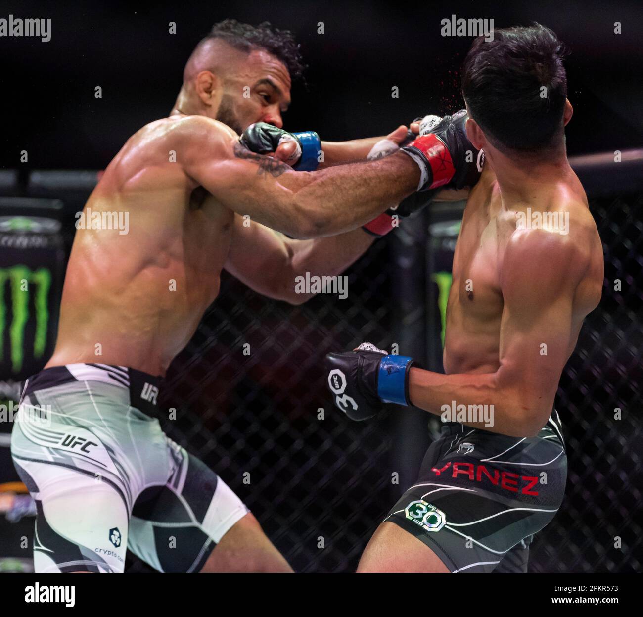 Rob Font, left, and Adrian Yanez fight in their bantamweight title ...