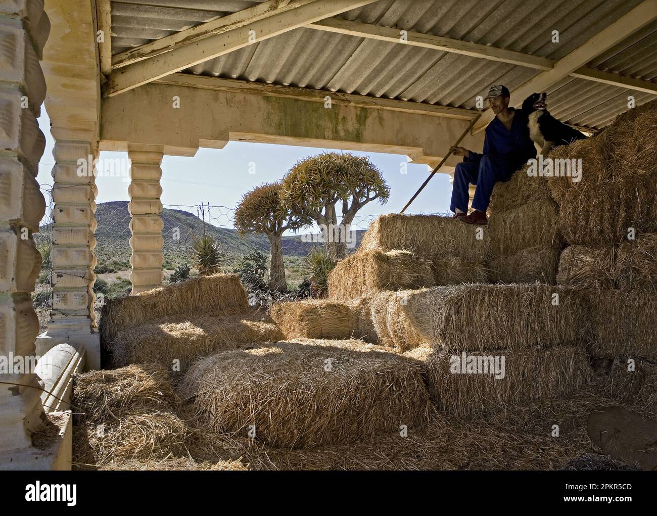 The abandoned farmhouse on 'Spreeukraal' is now used as a storage barn ...