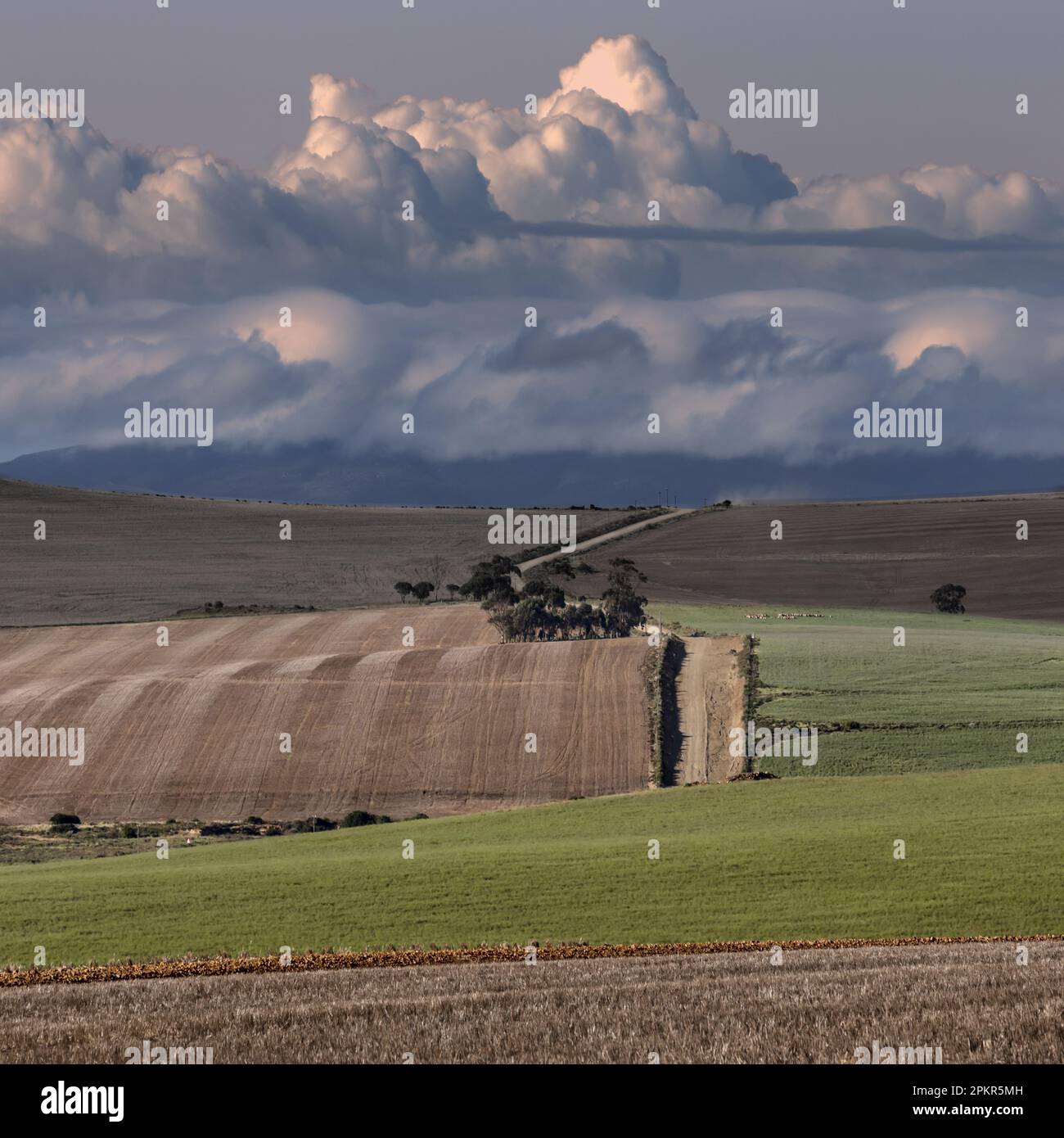 Soetmuisberg hi-res stock photography and images - Alamy