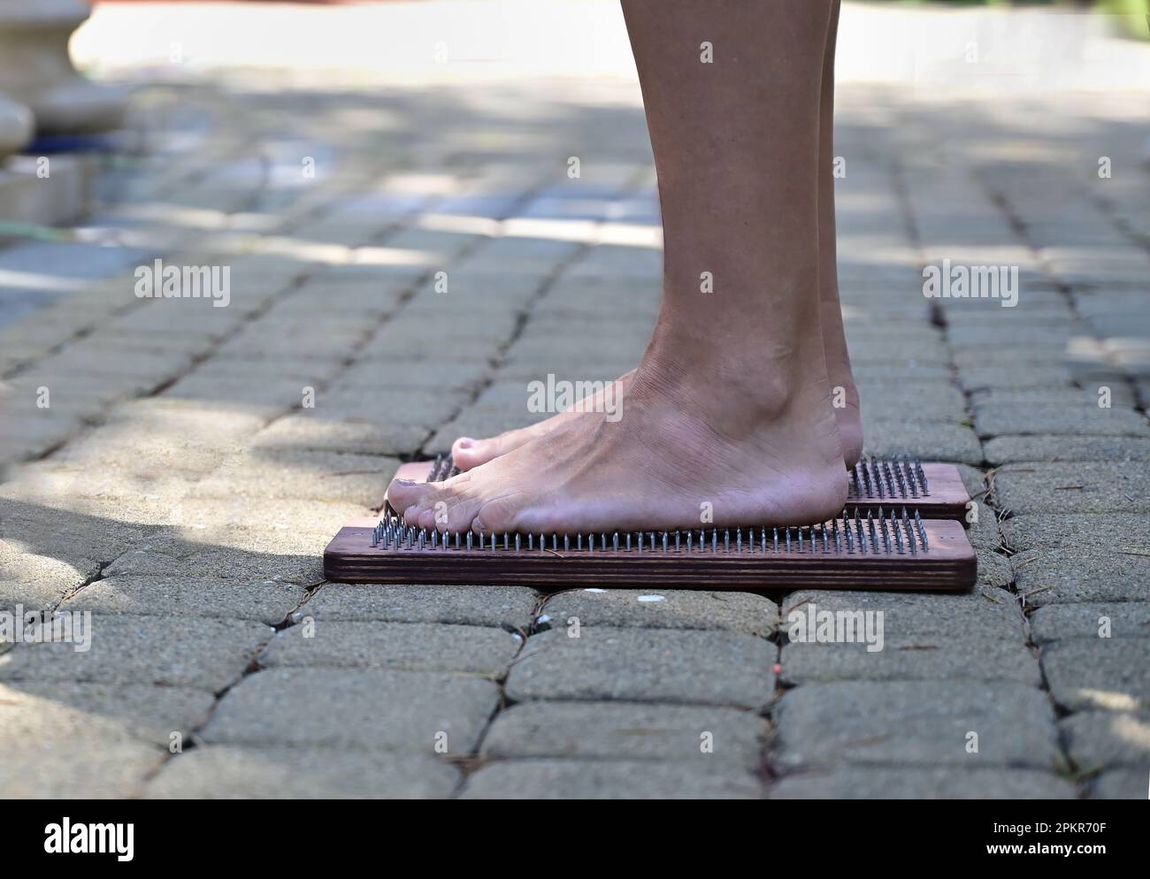 Alternative medicine and Mindfulness practice, needle standing ...