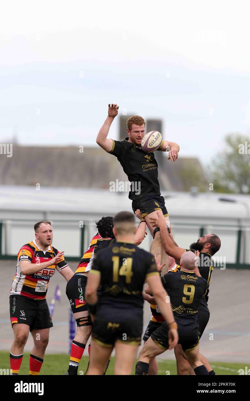 Carmarthen Quins RFC v RCG Indigo Premiership 08.04.2023 Stock Photo ...