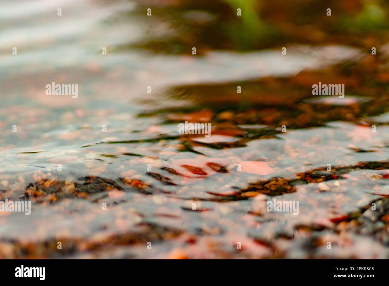 Pebbles underneath shallow water hi-res stock photography and images - Alamy