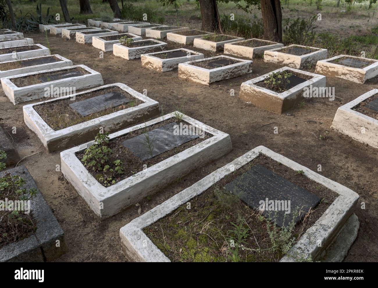 The simple graves of priests and workers lie in a cemetery in the ...