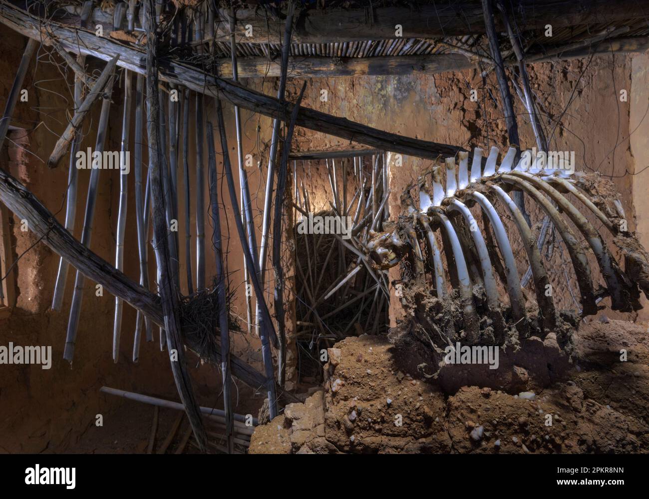 Abandoned mud dwelling with animal skeleton on a farm near Zoar Stock ...