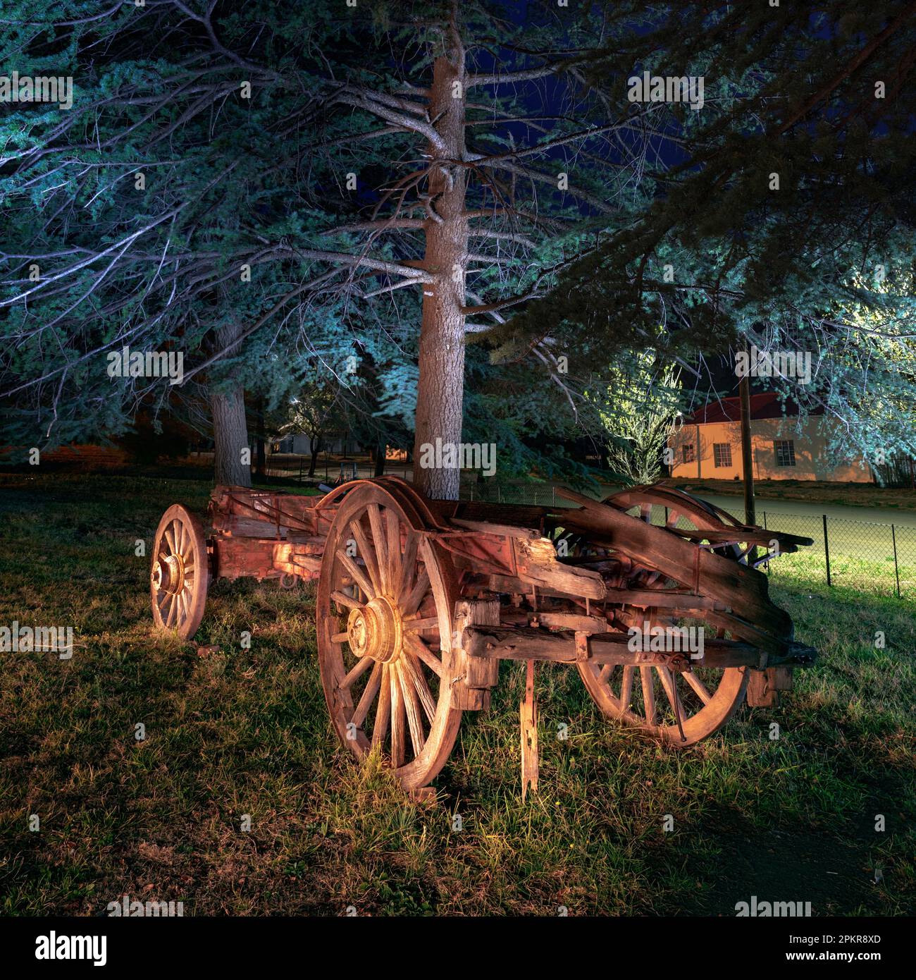An old wooden transport wagon stand beneath cedar trees in the grounds ...