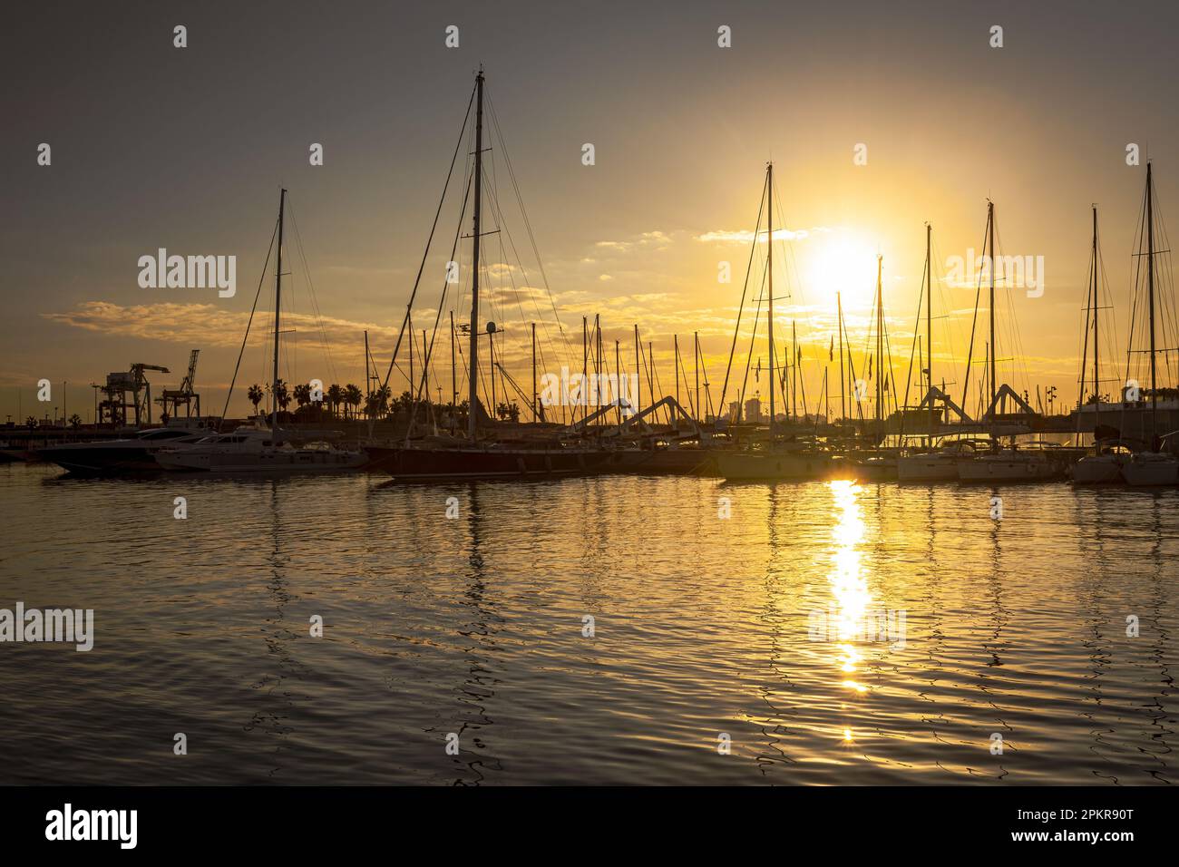 Valencias scenic waterfront hi-res stock photography and images - Alamy