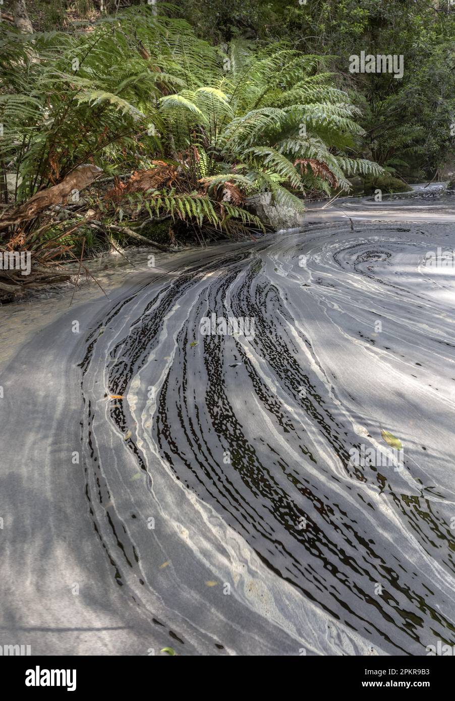 A large pool forms below the Klip River waterfall in the Tsitsikamma ...