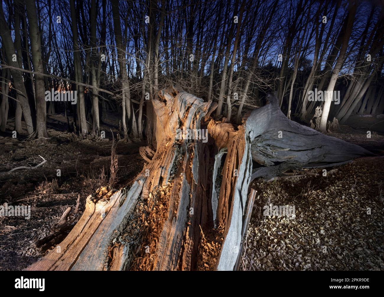 Agtersneeuberg mountains hi-res stock photography and images - Alamy
