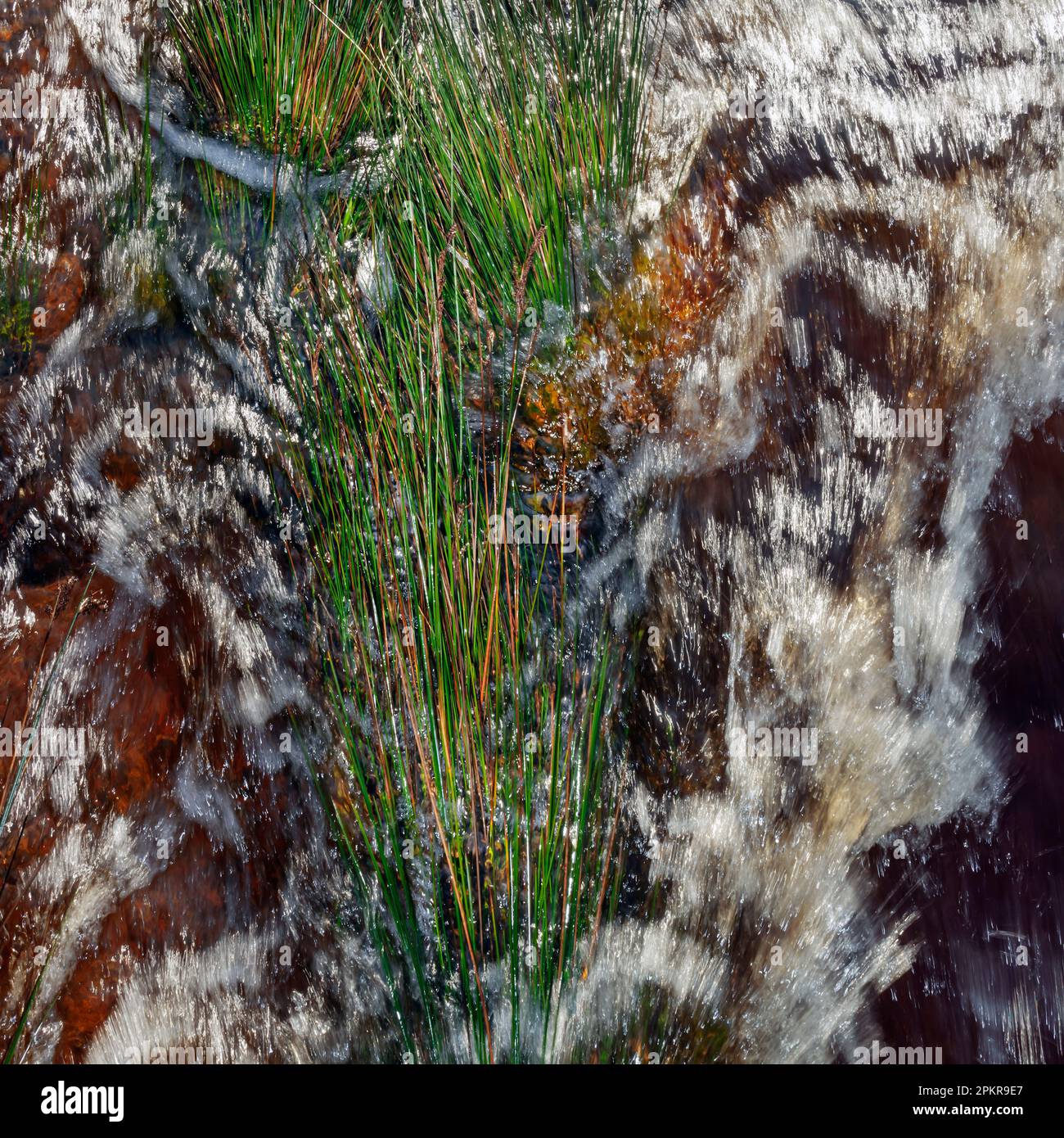 Water in the Grootriver (Big River) flow swiftly over a grass bank in ...