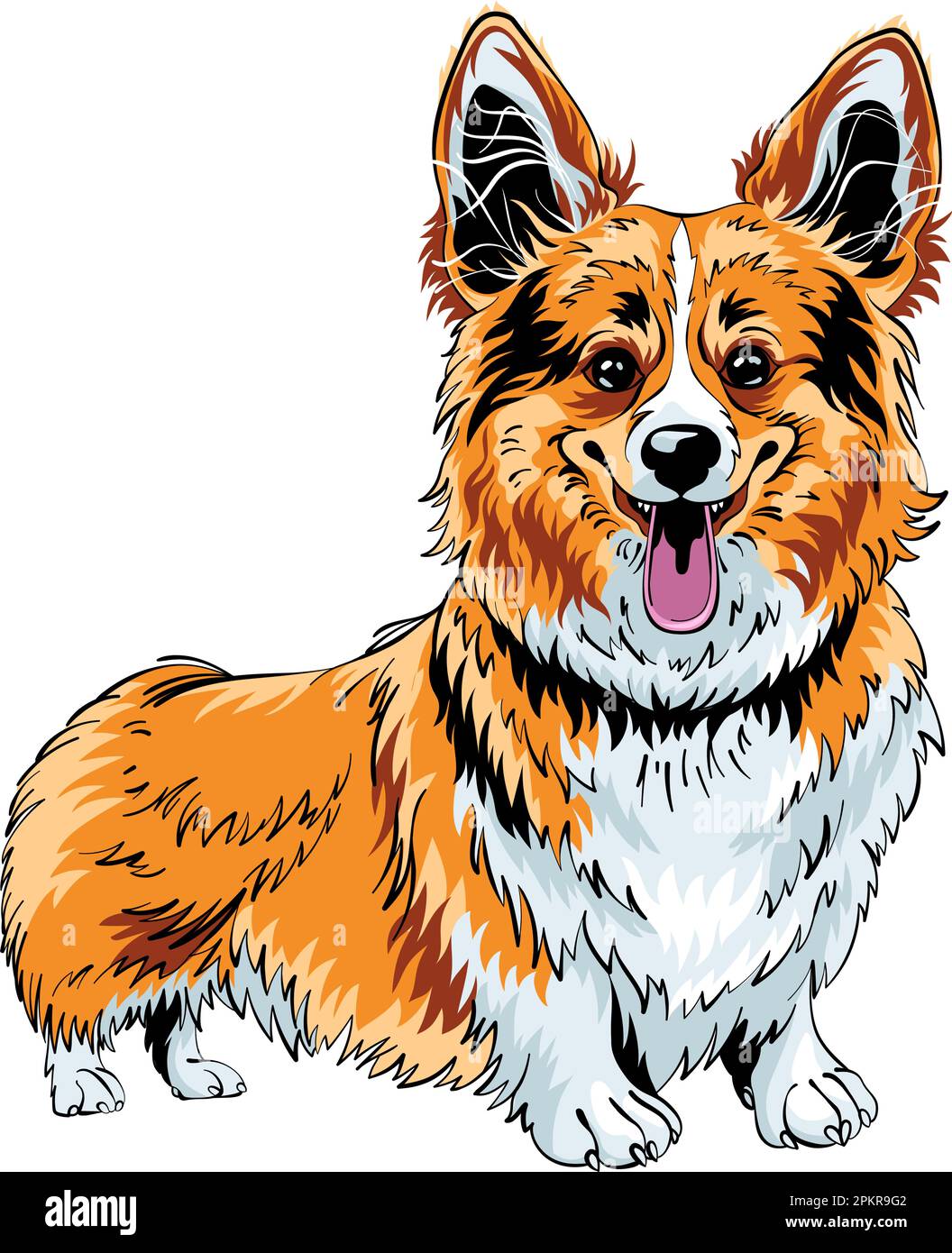 color sketch of dog Pembroke Welsh corgi breed smiling Stock Vector ...