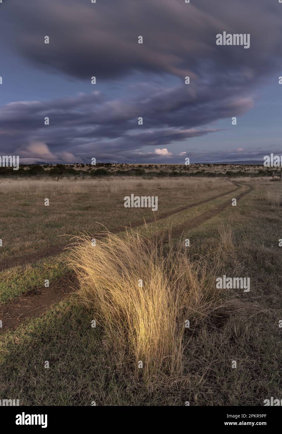 Veld track hi-res stock photography and images - Alamy