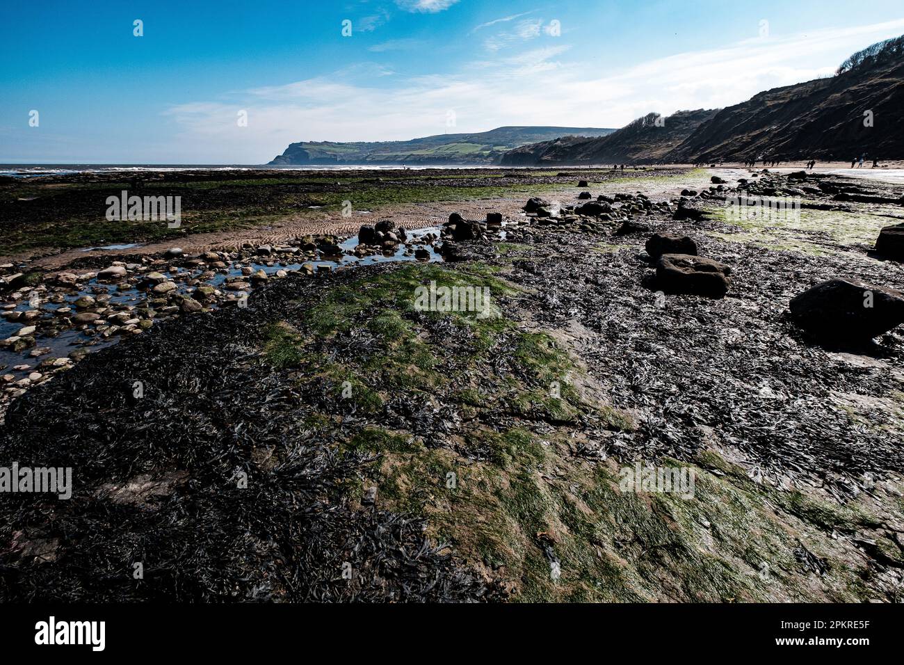 Robin Hoods Bay beach, North Yorkshire, looking south towards Ravenscar ...