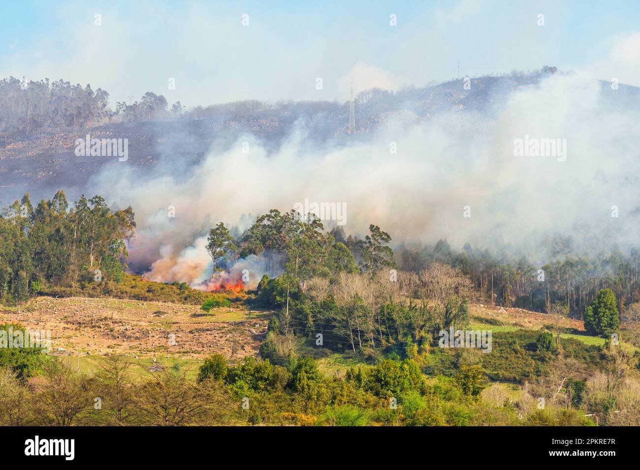 Forest fire with flame and thick smoke on the mountain with burning ...