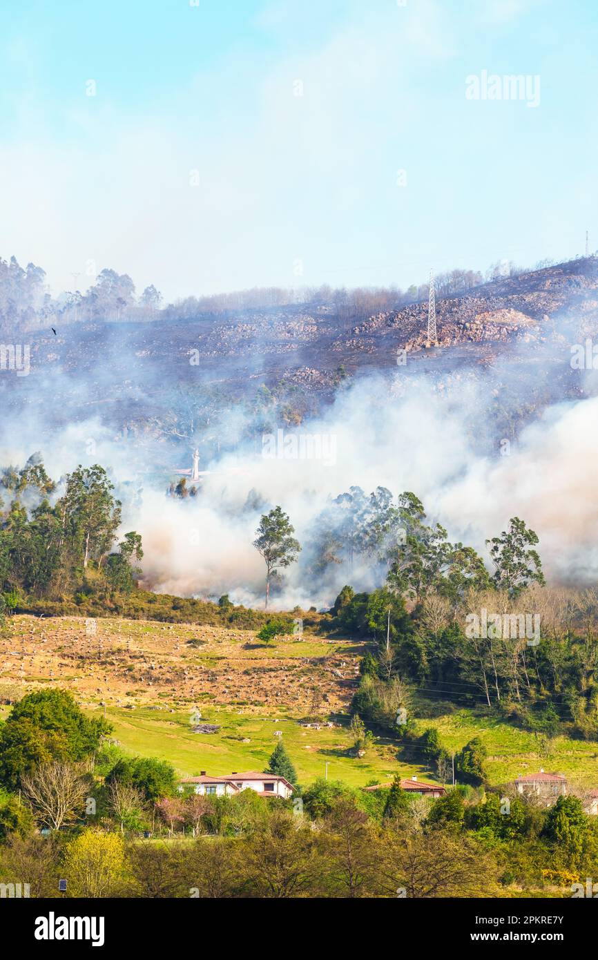 Oviedo, Spain - Abril, 2023: Wildfire, brushfire in woodland on a ...