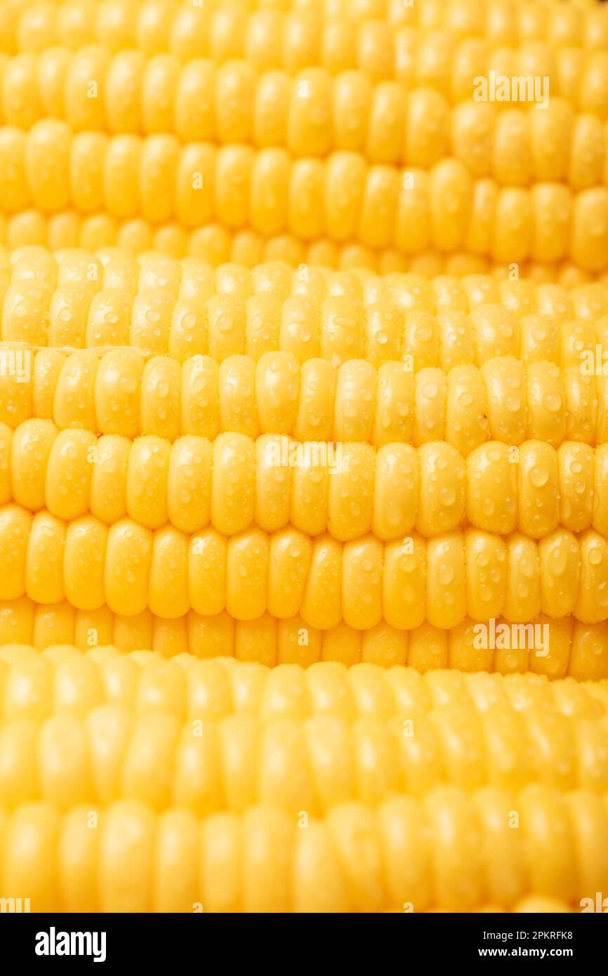 Closeup of corn texture background Stock Photo - Alamy