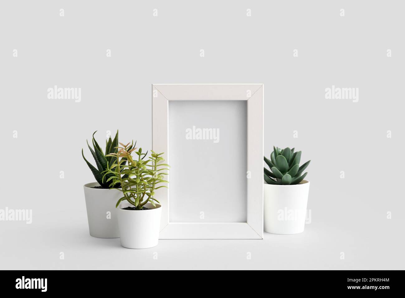 Artificial plants with blank frame on light background Stock Photo - Alamy