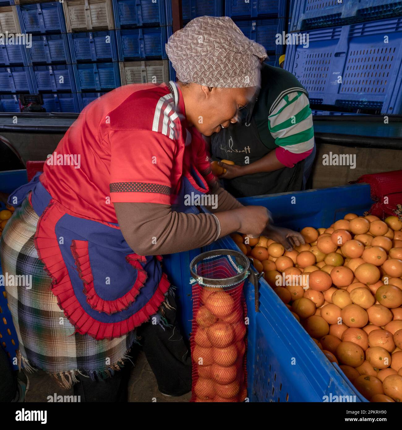 Makoadi farm hi-res stock photography and images - Alamy
