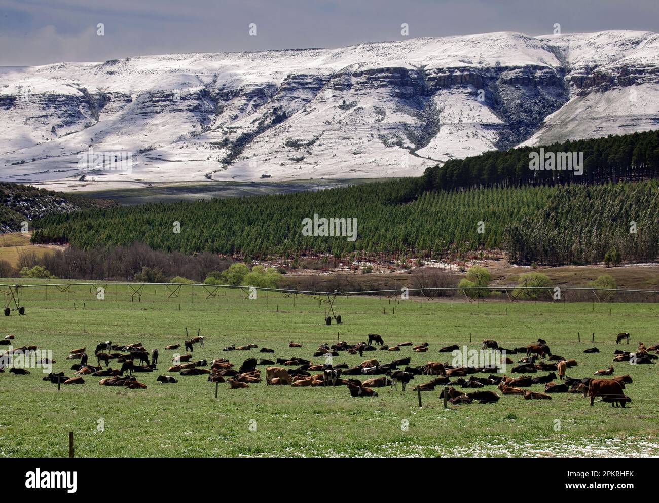 Snow covers the southern Drakensberg mountains south of the town of ...