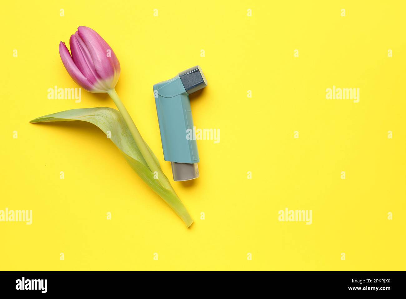 Asthma inhaler with tulip on yellow background Stock Photo - Alamy