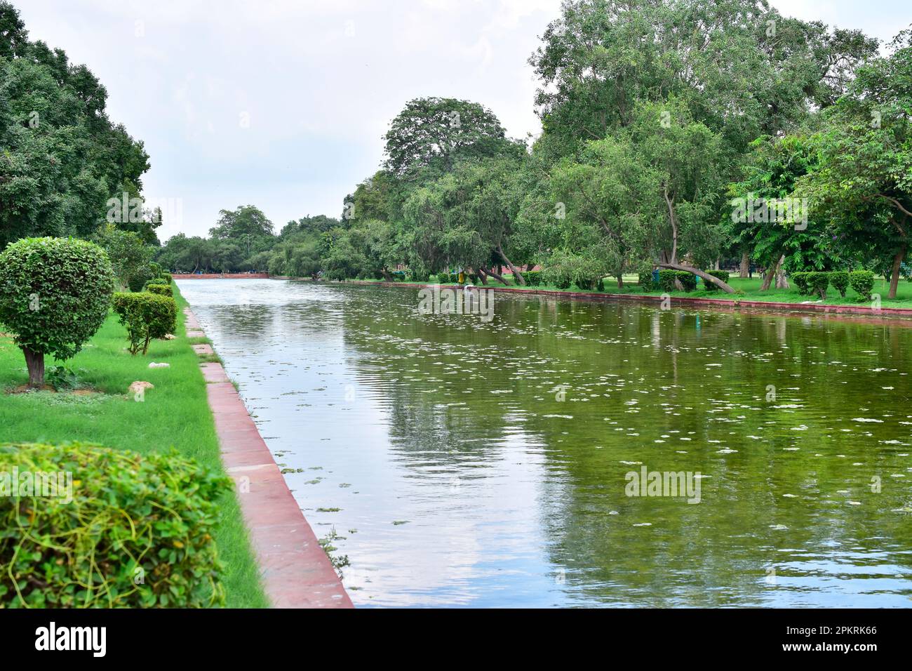 Dirty lake with garbage and pollution at new delhi, india Stock Photo ...