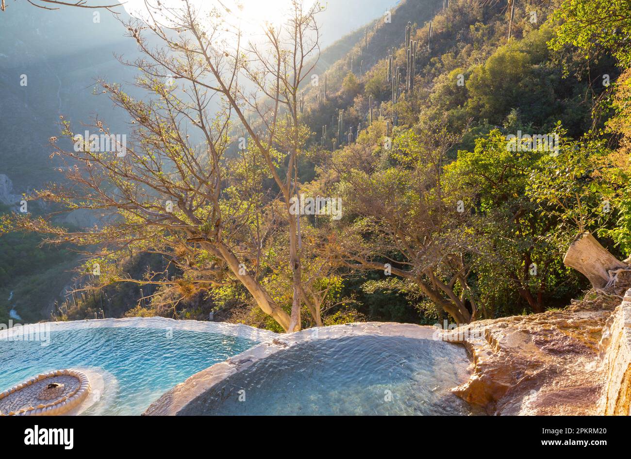 Unusual thermal pools Tolantongo in Mexico Stock Photo - Alamy