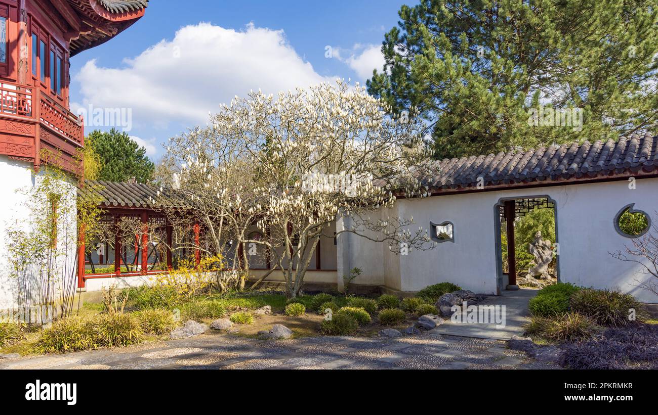Haren, The Netherlands - April 5, 2023: Chinese garden Kingdom of Ming ...