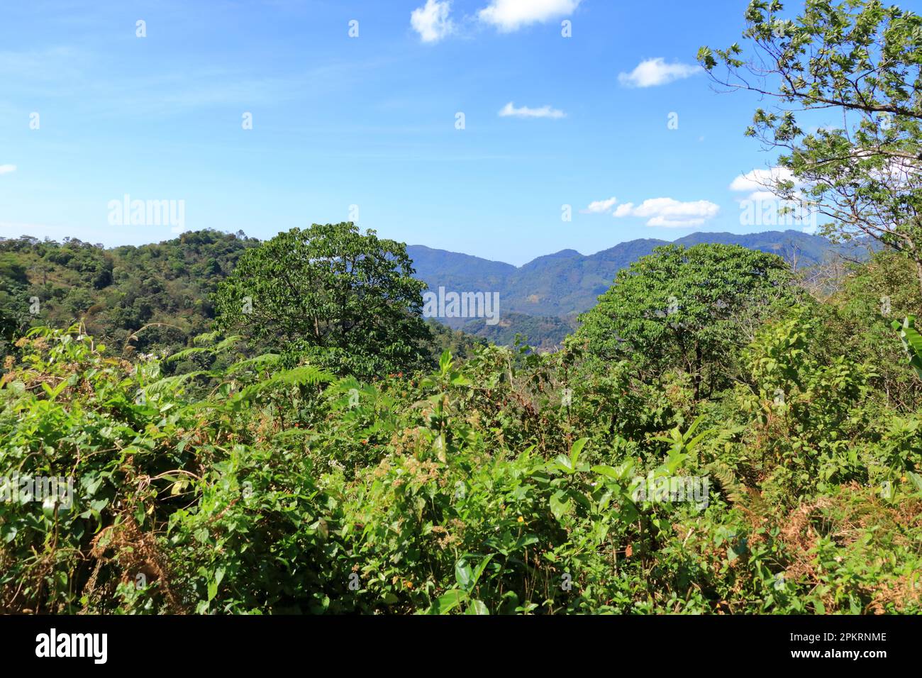 Paithal mala hi-res stock photography and images - Alamy