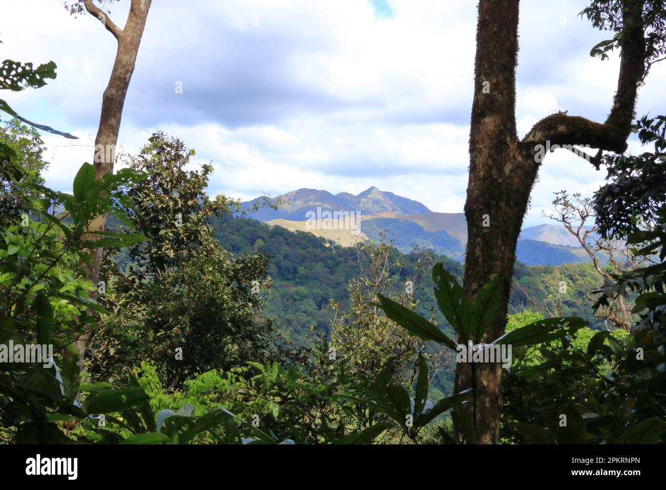 the view of the southern tip of the mighty western ghats. Paithalmala ...