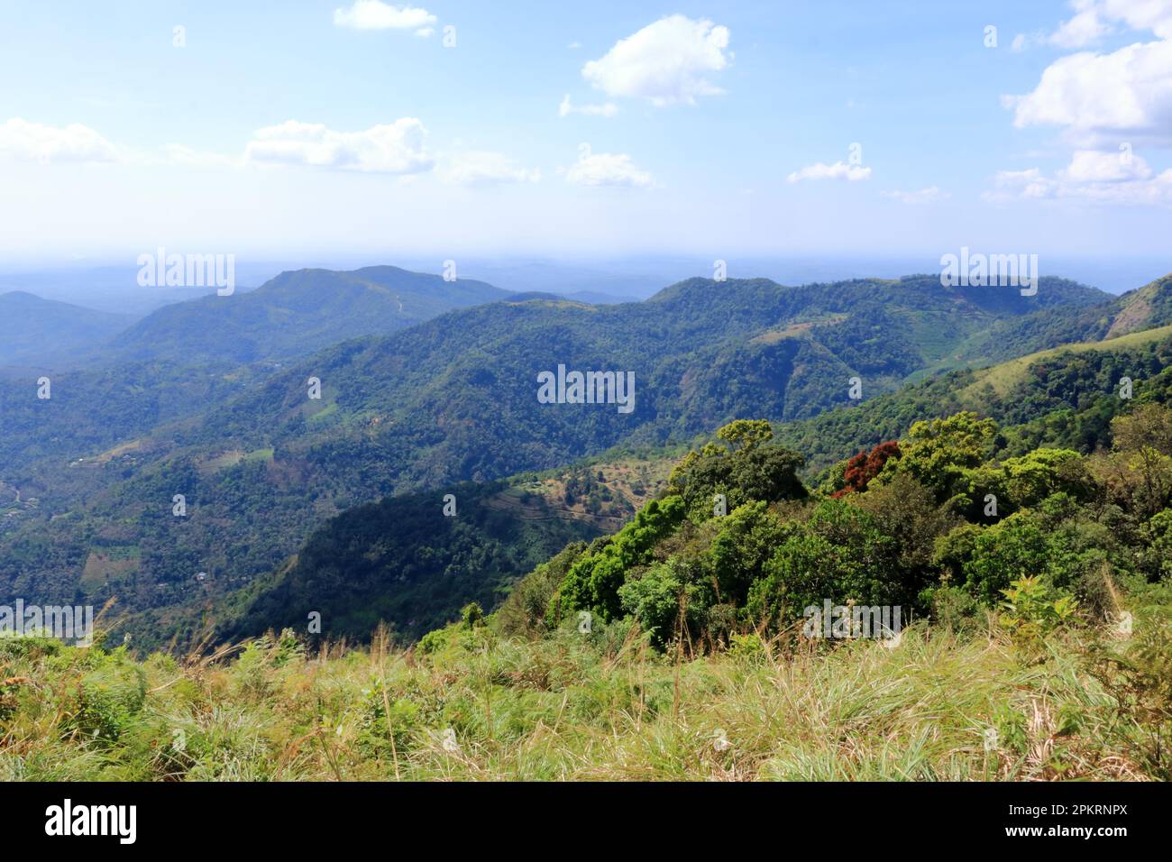 the view of the southern tip of the mighty western ghats. Paithalmala ...